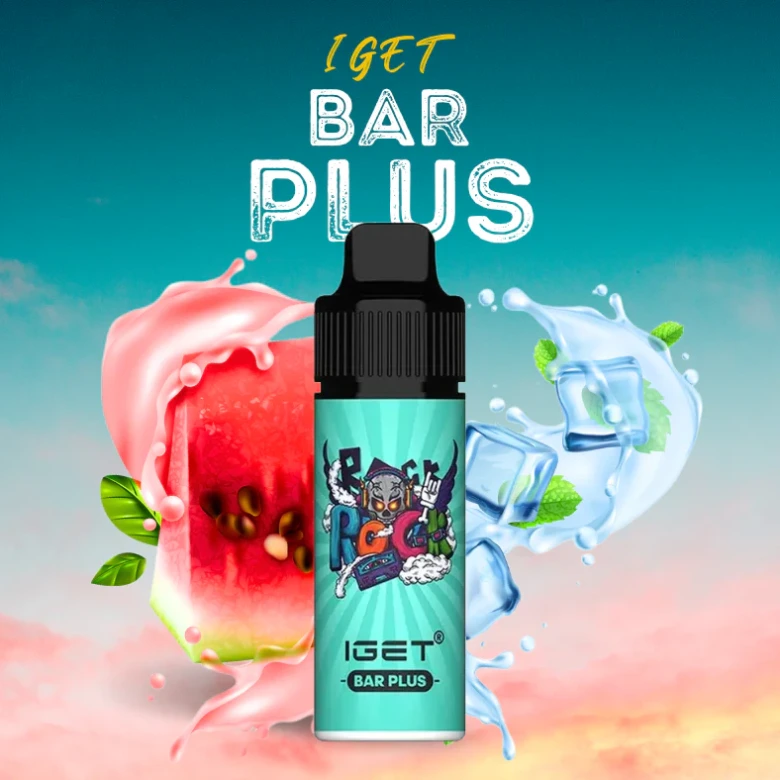 How to Recharge an IGET Bar Plus: Step-by-Step Guide - OZVAPESHOP